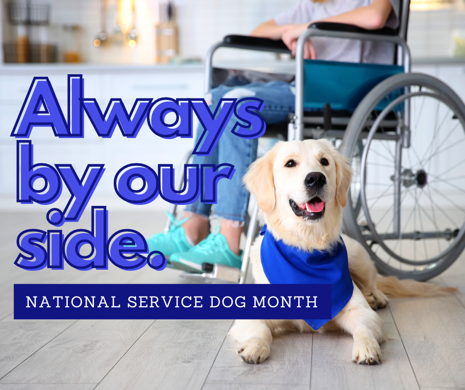 National Service Dog Month — iPetsPro