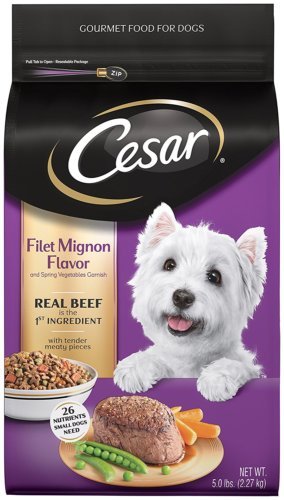 Cesar Dry Dog Food — iPetsPro